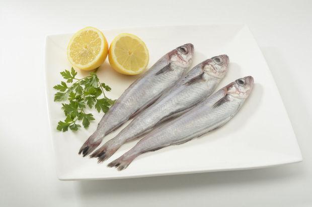 Le merlan promu poisson de l'année