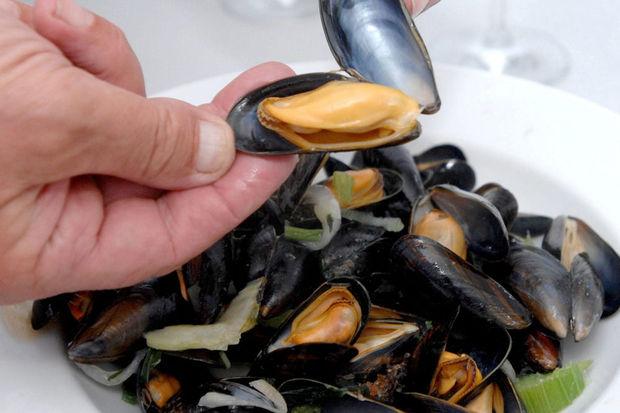 La saison des moules débutera exceptionnellement tôt