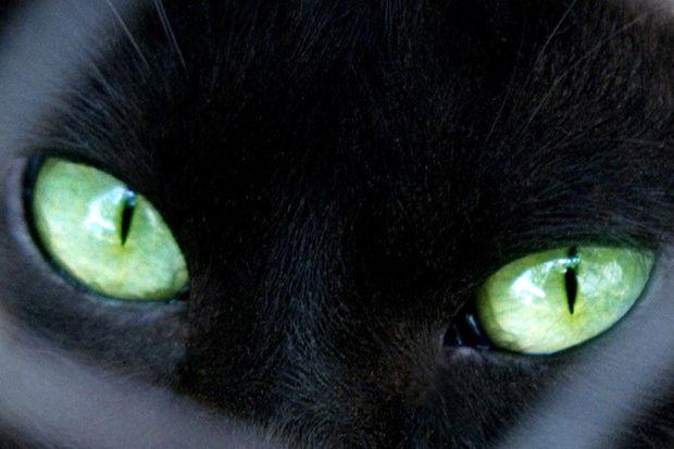 Pourquoi sommes-nous superstitieux