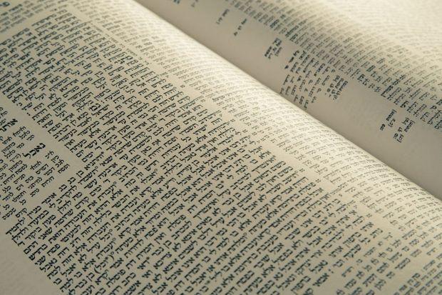 Talmoed voor recordbedrag van 9,3 miljoen euro verkocht