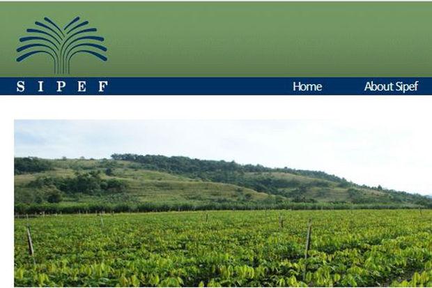 Sipef demeure ambitieux - Trends-Tendances