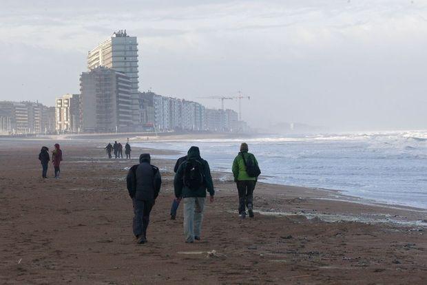 OVERZICHT : Storm zorgt overal in West-Vlaanderen voor schade - KW.be
