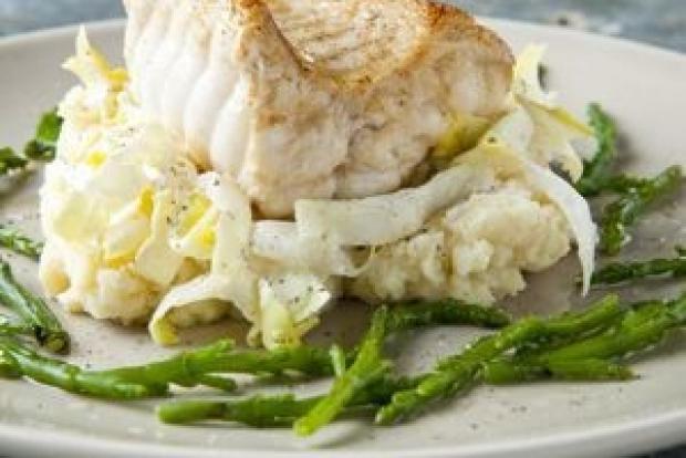 Gebakken zeewolf met witloofsla en geblancheerde zeekraal