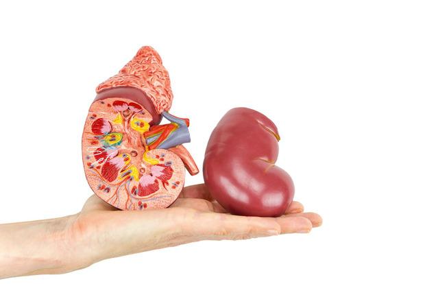 NephroFlow zorgt voor een kwantumsprong in de nierdialyse