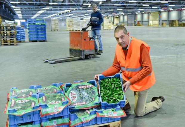 REO Veiling beleeft tweede beste jaar ooit - KW.be