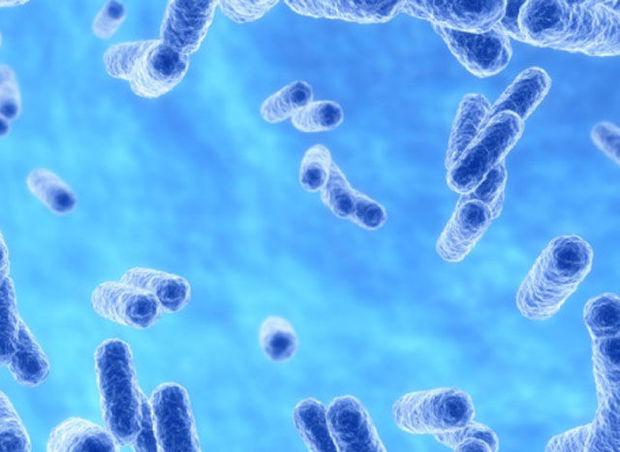 Bacteriën maken hun eigen antibiotica