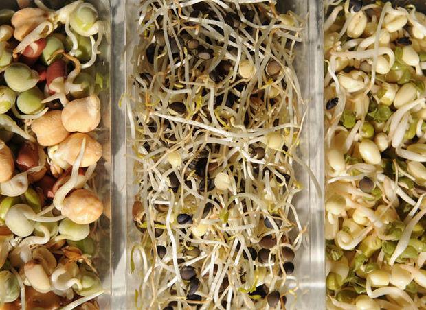 Sojascheuten toch oorzaak van dodelijke EHEC-bacterie