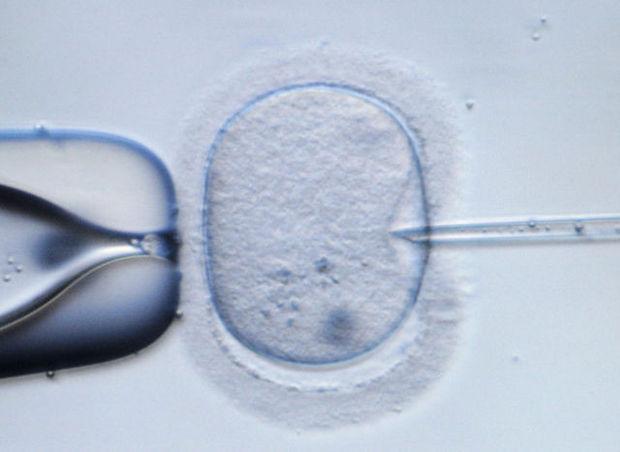 Naissance du 1er bébé africain avec une méthode de FIV "low cost ...