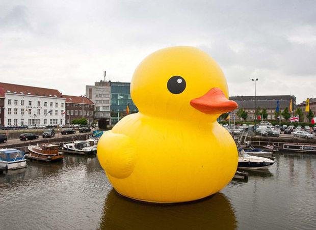 Gigantische Badeend komt terug naar Limburg