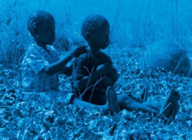 Gust Van den Berghe wint Vlaamse Cultuurprijs voor Film