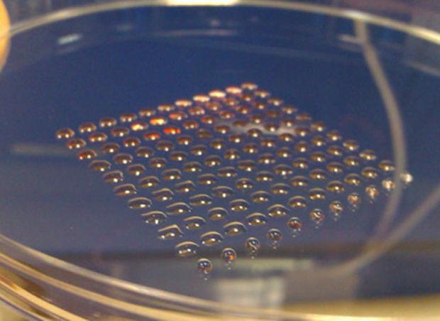 Wetenschappers produceren embryonale cellen met 3D-printer