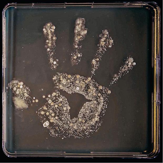 1.000.000.000.000 = 1 triljoen