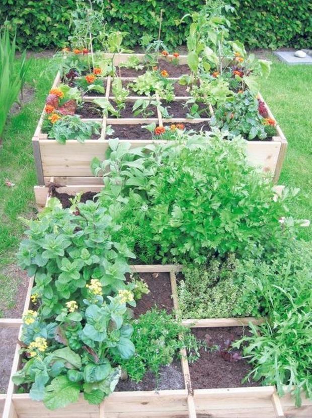 De moestuin heruitgevonden - KW.be