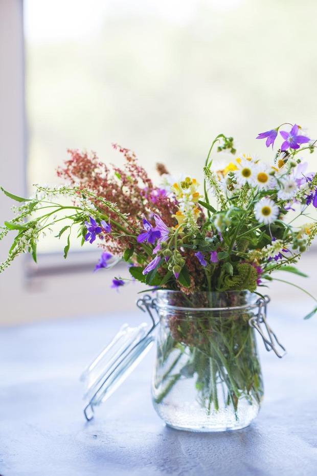 Pluk het perfecte boeket met onze tuinman Angelo Dorny - KW.be