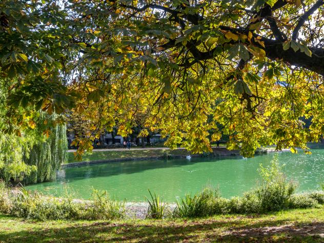 Le Parc de Furfooz, la balade dépaysante à côté de Dinant