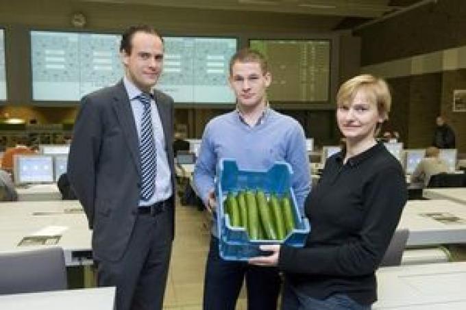 Reo Veiling in Roeselare veilt de eerste komkommers - KW.be