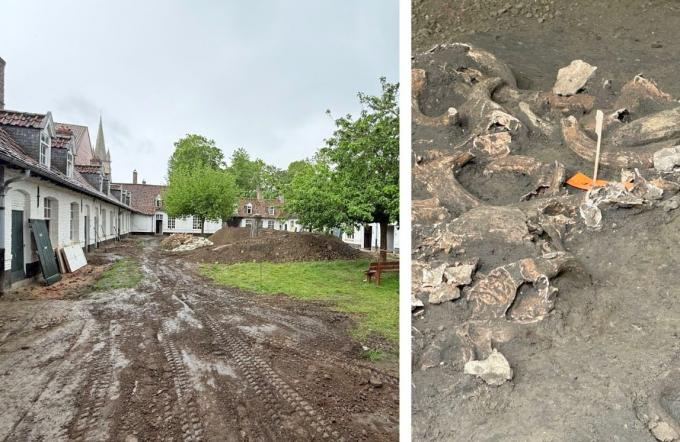 Weeuwhof geeft geheimen prijs nu opgravingen dieper gaan dan de ...