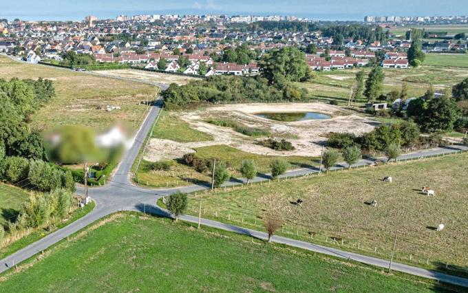 Natuurgebied Schuddebeurze wordt voort ontwikkeld: “Bodem wordt ...