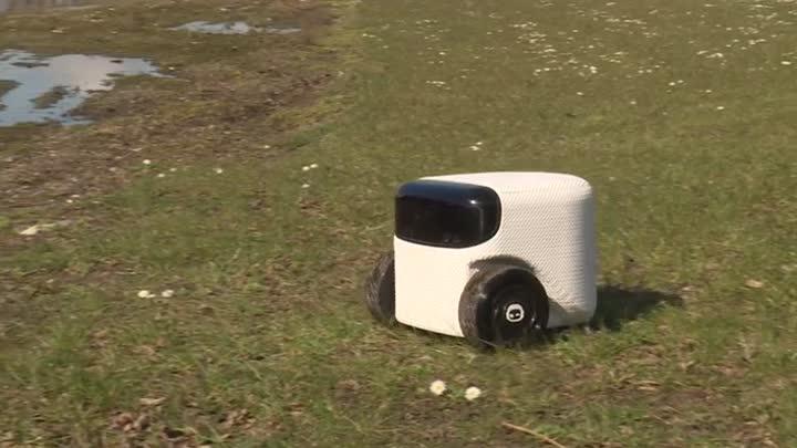 Schattig en slim: Belgische grasmaairobot Toadi. - Trends Kanaal Z