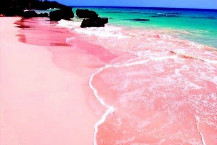 Waouw: on rêve d'aller bronzer sur cette plage rose!