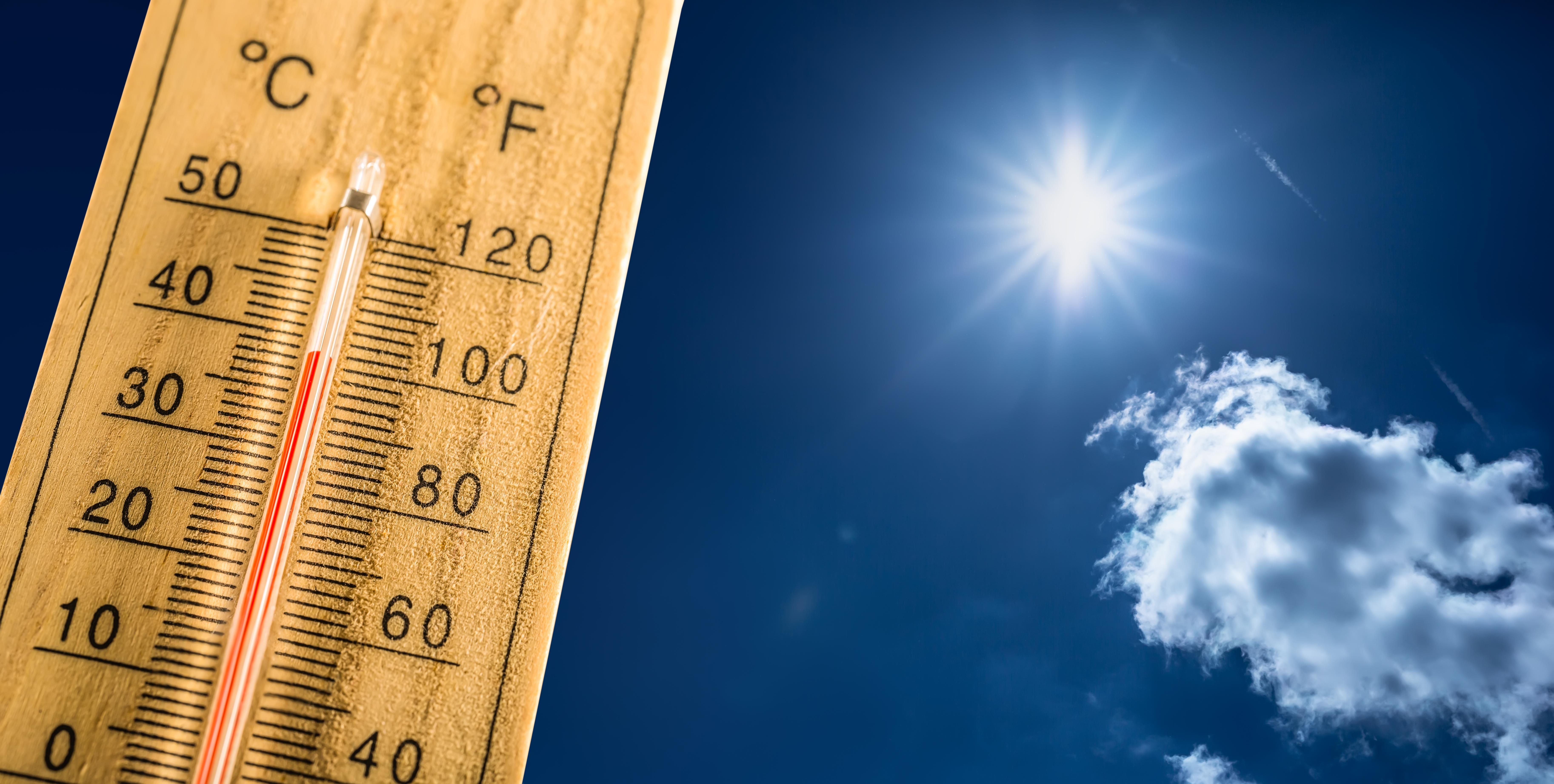 Climat: le mois de novembre 2022 a été le cinquième plus chaud dans l ...