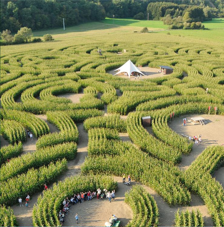 7 X de zomer afsluiten met de kids