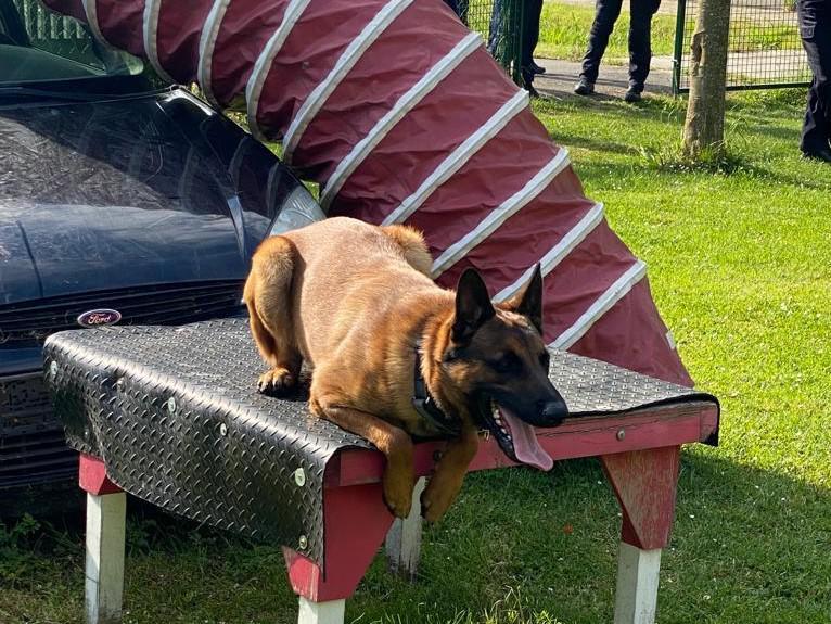 Ghost, Utah en Storm starten begin september aan hun opleiding als drug ...