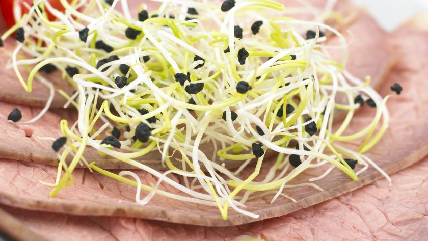 Scheutjes met pit - Libelle