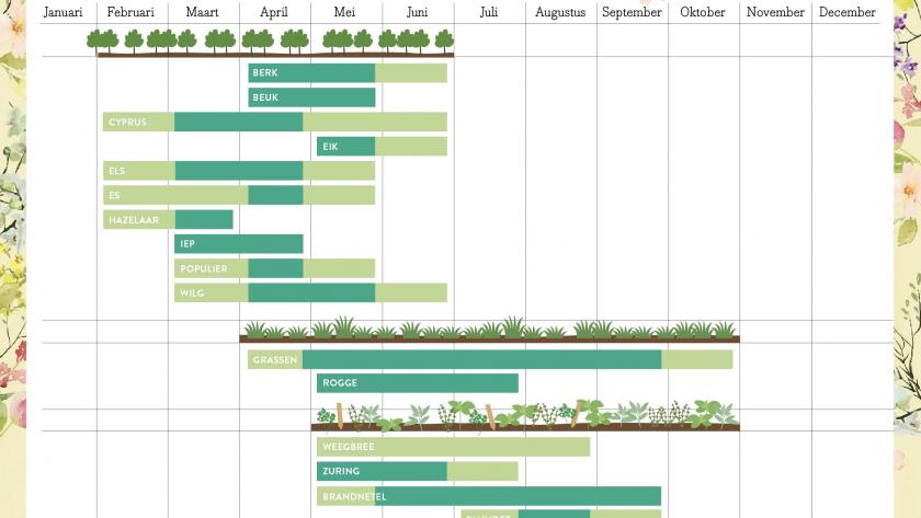 Pollenkalender: dit handige overzicht helpt met je pollenallergie - Libelle