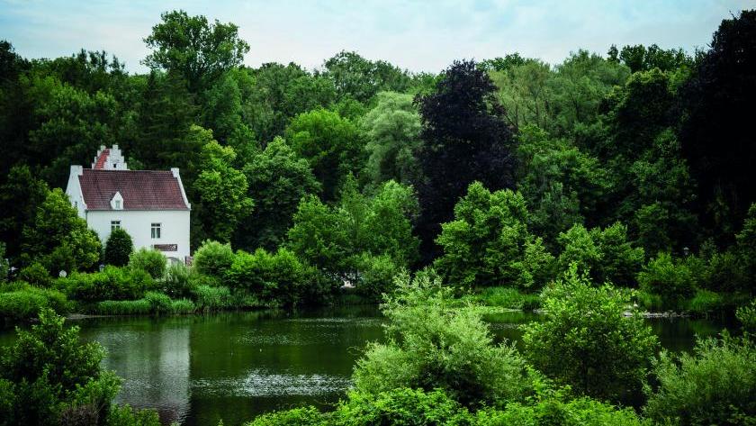Het herfstbos in Oud-Heverlee: stappen langs loofbossen - Libelle