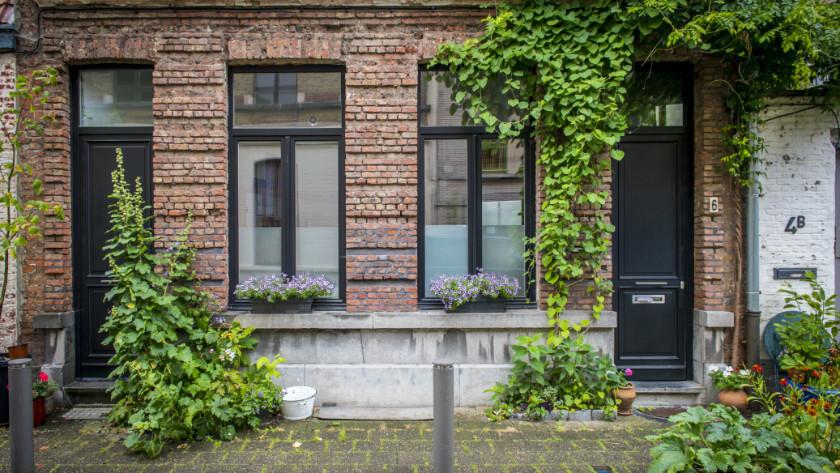 Geveltuin aanleggen: hoe begin je eraan? - Libelle