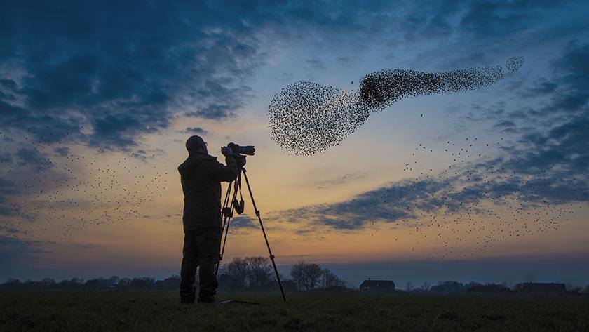 30x adembenemende natuurfoto's die afgelopen jaar in de prijzen vielen ...