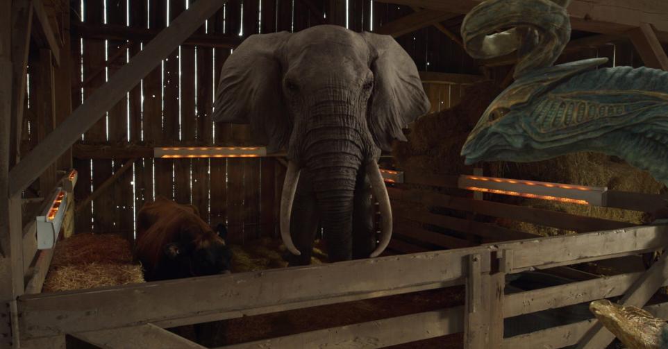 Les derniers rescapés - Télépro