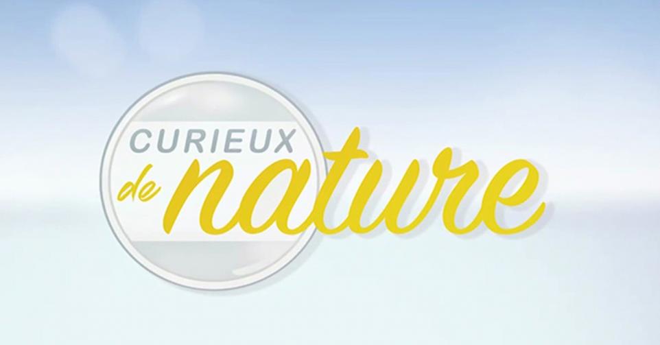 Curieux de Nature - Télépro