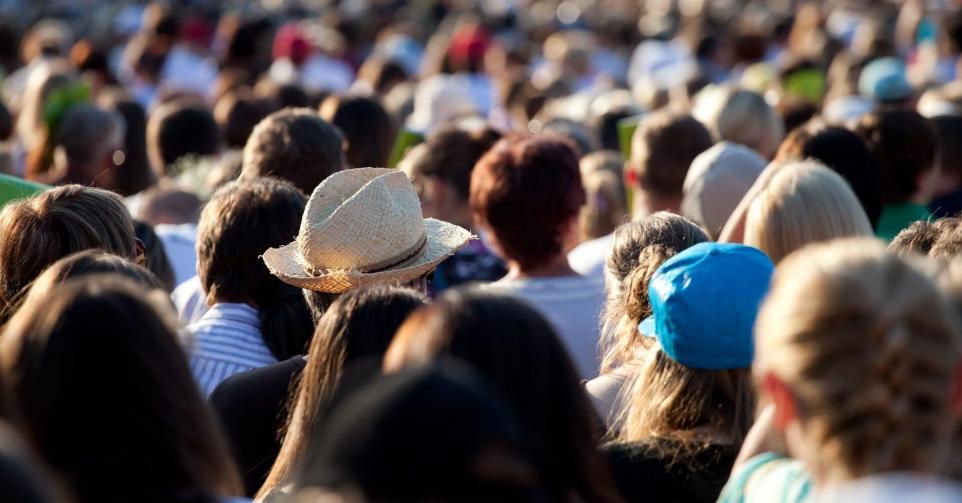 La Purge Lgbt, La Sombre Histoire - Télépro