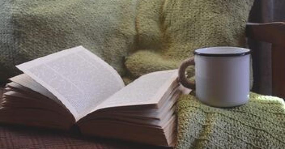 La p'tite librairie - Télépro