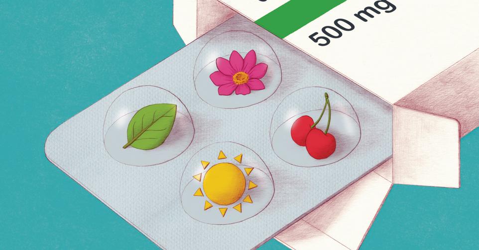 Wandelen met patiënten helpt: huisartsen erkennen de werking van natuur