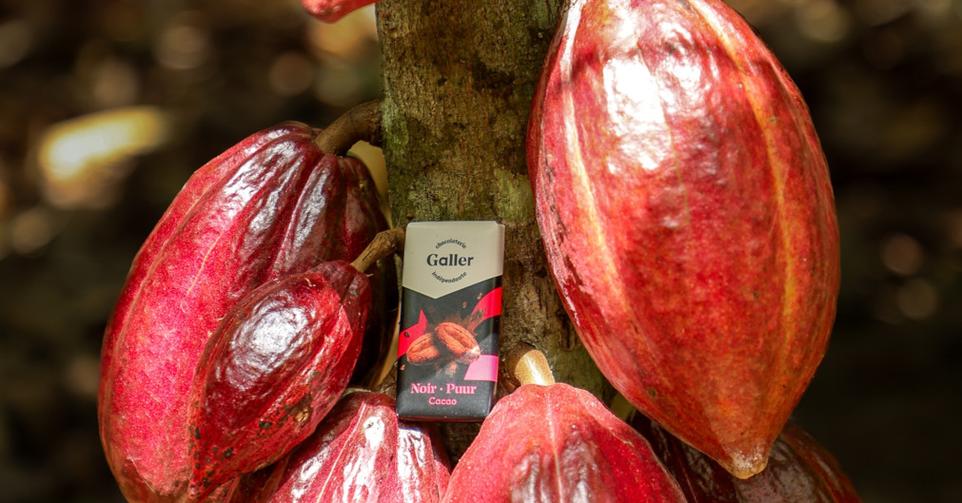 Galler – Duurzamere chocolade in Ivoorkust - Trends.be