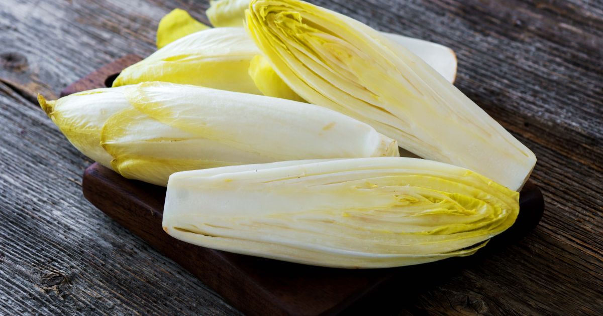 Wat is het verschil tussen 'gewoon' witloof en grondwitloof? - Libelle ...