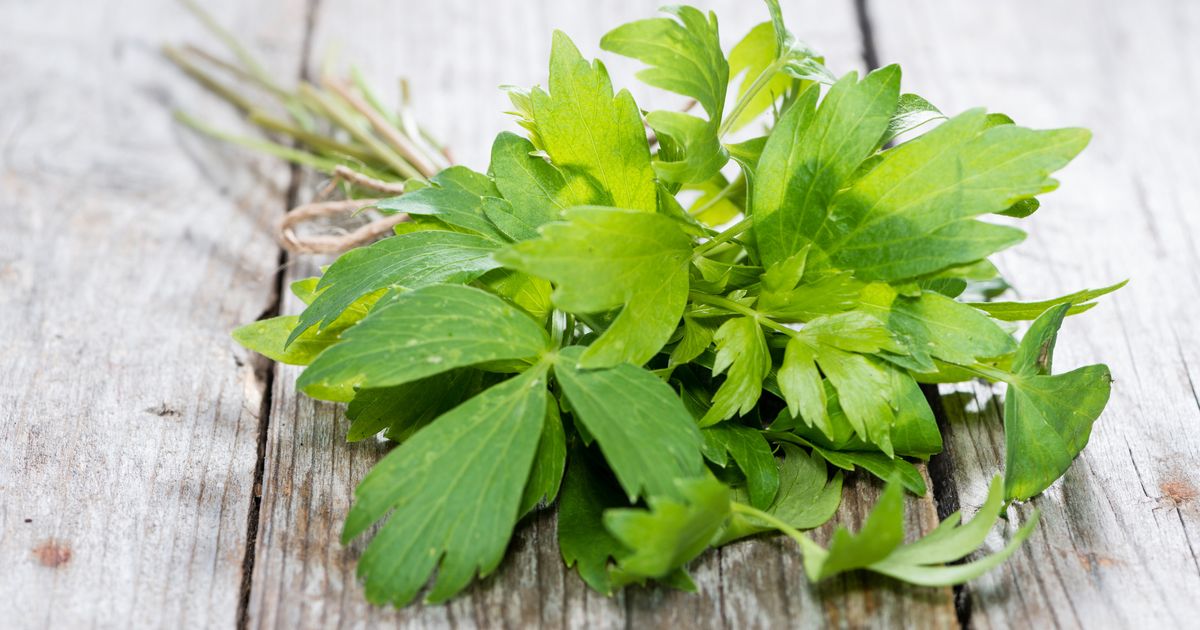 Wat is lavas en hoe gebruik je het? - Libelle Lekker